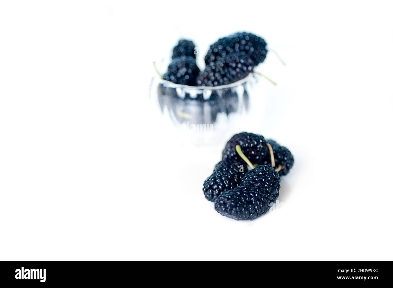 Mulberrys hi-res stock photography and images - Alamy