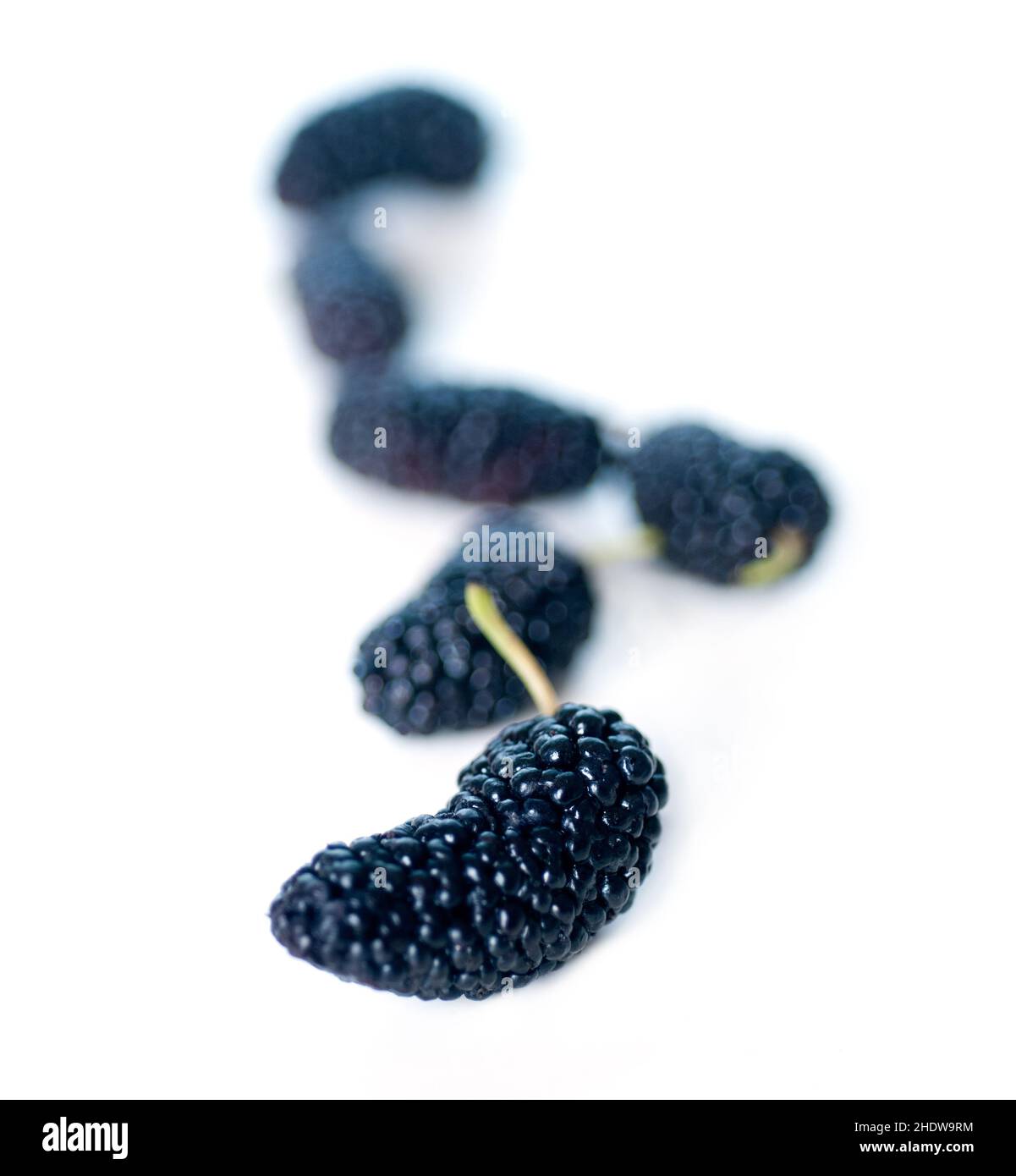 Mulberry square hi-res stock photography and images - Alamy