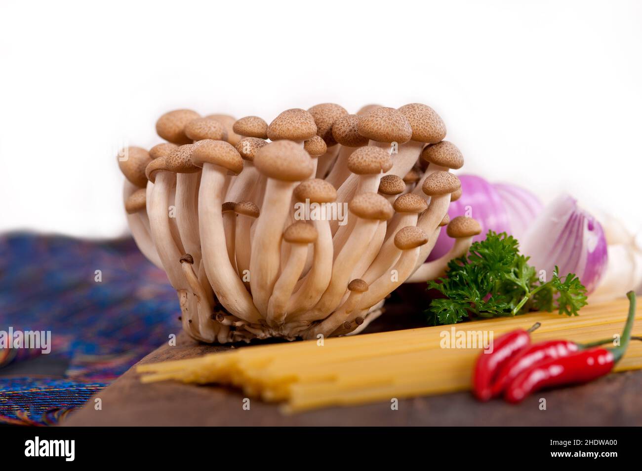 spices & ingredients, fungi, italian cuisine, spices and ingredients ...