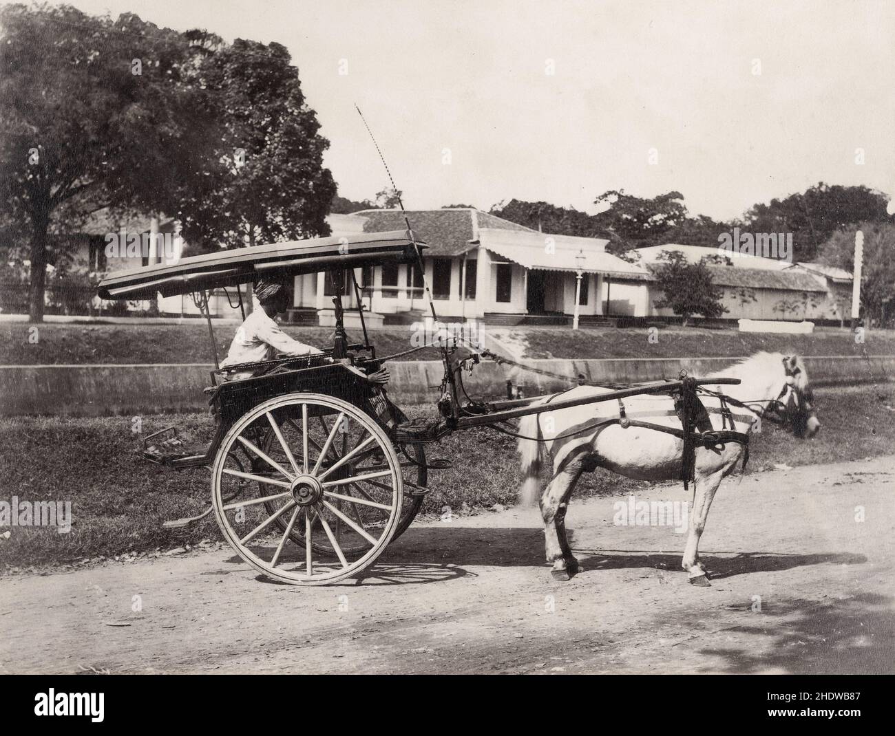 Vintage 19th century photograph: Dutch East Indies, Indonesia: pony and ...