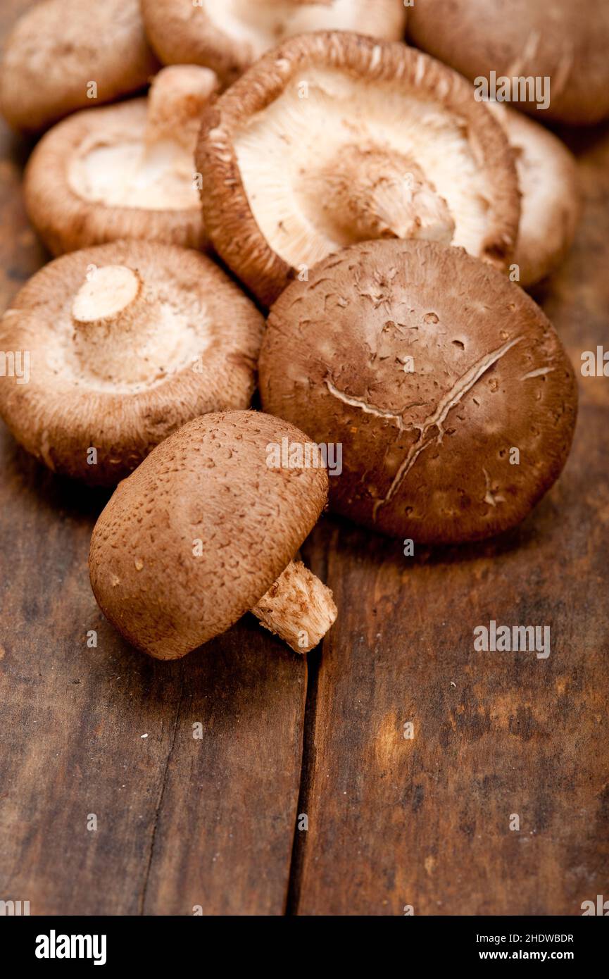 mushroom, fungi, shiitake, edible mushroom, mushrooms, fungis ...