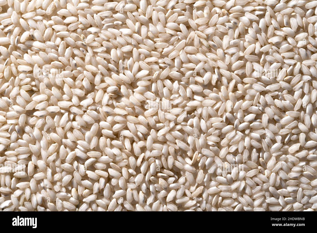 macro perpendicular view of a surface covered with raw white rice ...