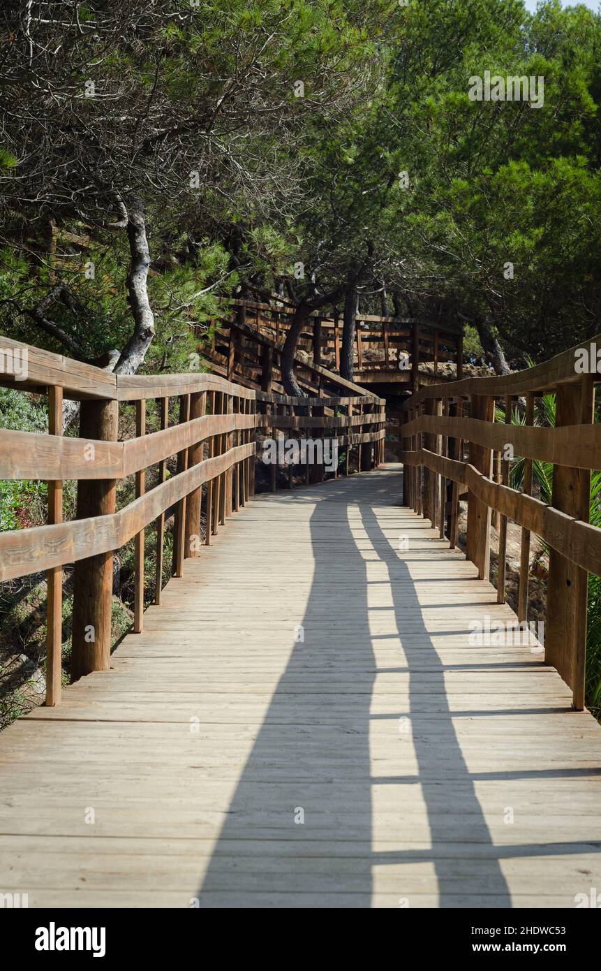 stock photo of a wooden pathway with handrail in a sunny day. empty ...