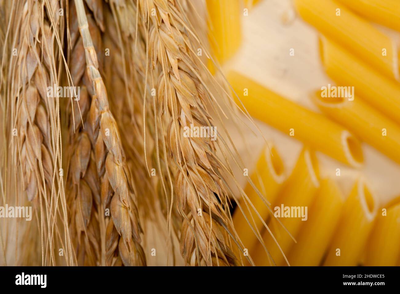 pasta, durum wheat, pastas, durum wheats Stock Photo - Alamy