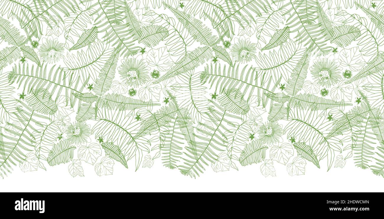 Vector white top horizontal border fern leaves pattern. Perfect for ...