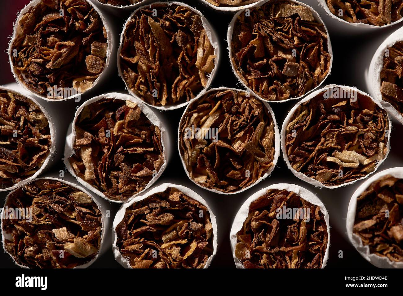 front view from the tobacco side of a pile of cigarettes lined up Stock ...