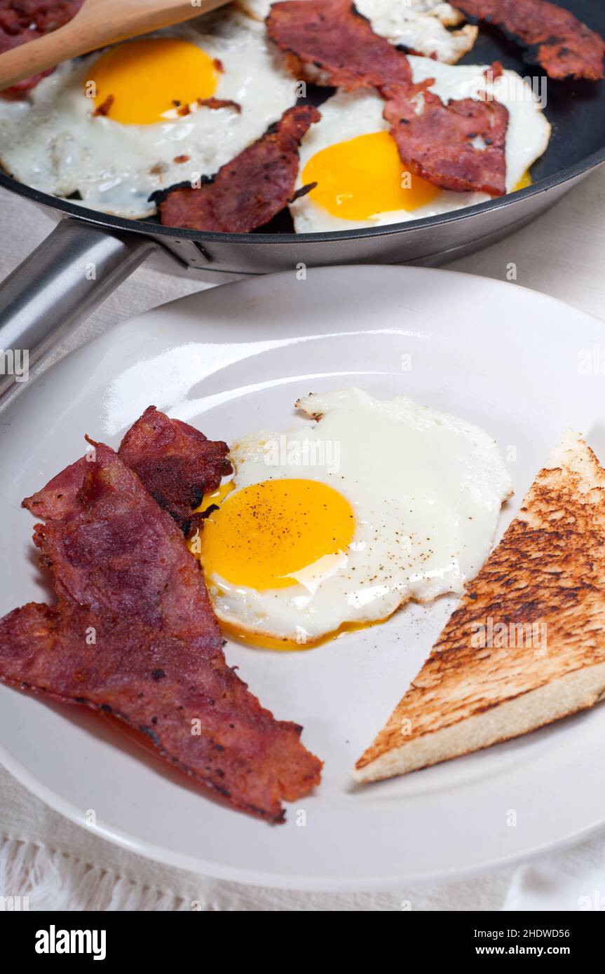 breakfast, fried egg, toast, bacon, breakfasts, fried eggs, toasts ...