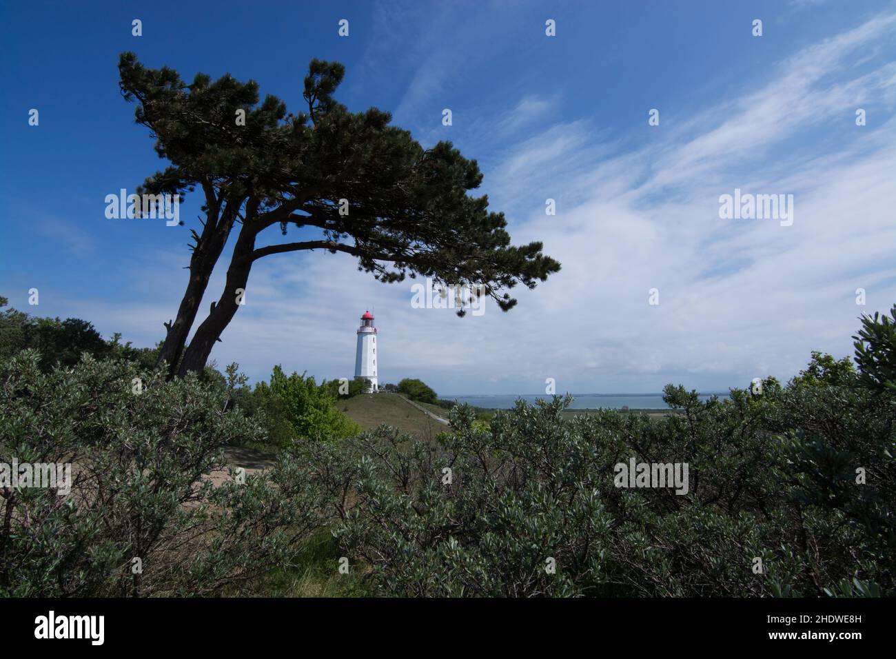 lighthouse, hiddensee, lighthouses, hiddensees Stock Photo - Alamy