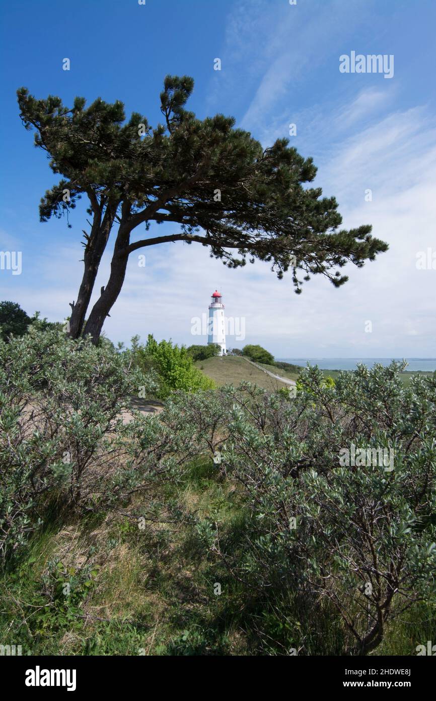 lighthouse, hiddensee, lighthouses, hiddensees Stock Photo - Alamy