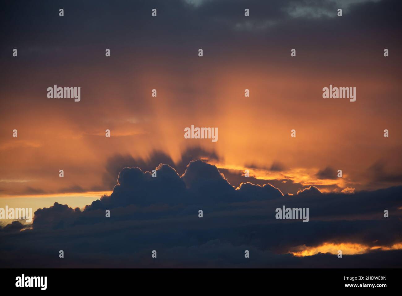 sunbeams, sunset, sun beams, sun ray, sun rays, sunbeam, sunray ...