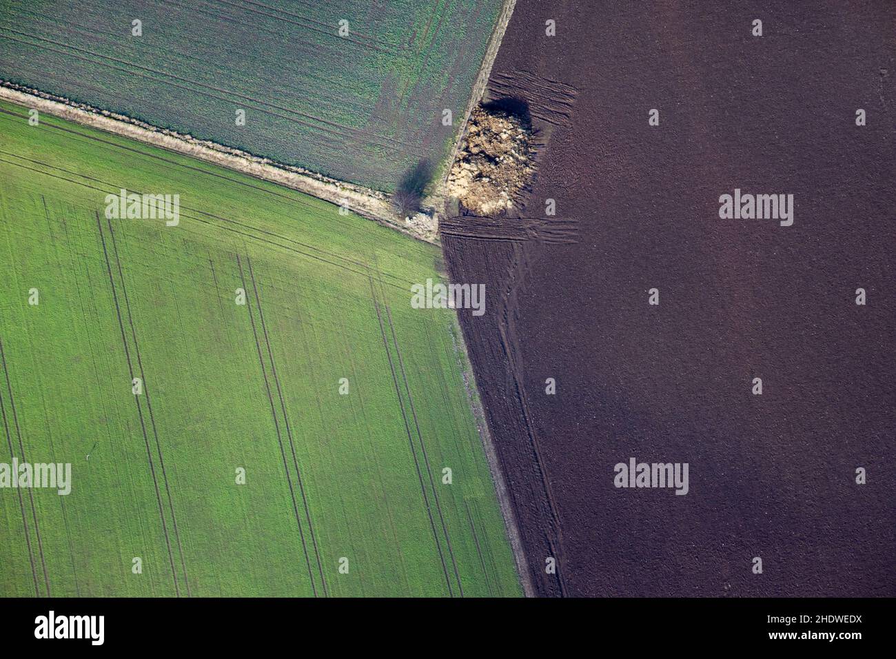field, scotland, lowlands, fields, great britain, uk Stock Photo - Alamy