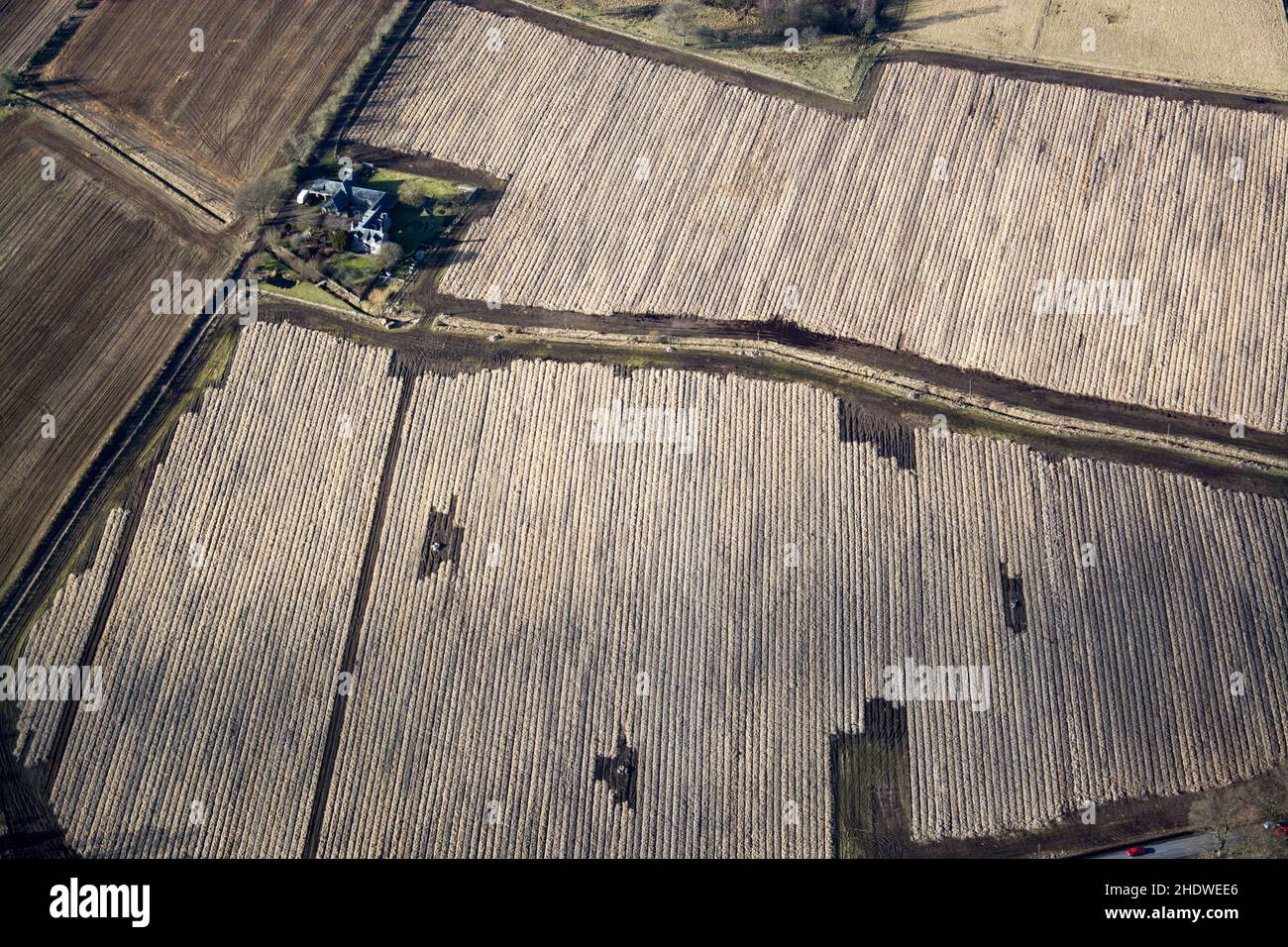topview, field, scotland, topviews, fields, great britain, uk Stock ...