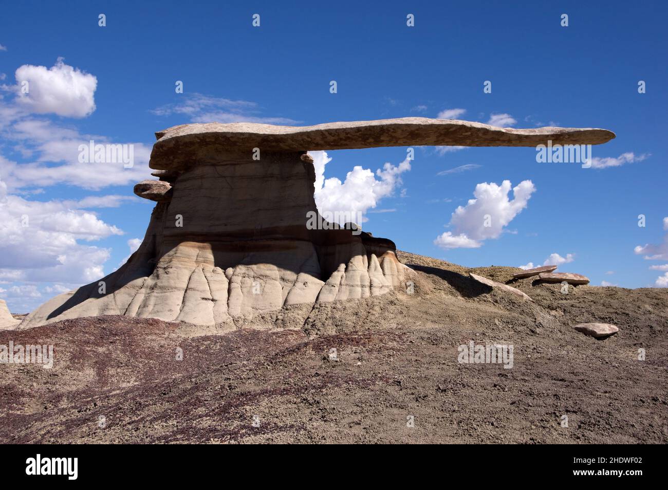 king of wings, momo's wing Stock Photo - Alamy
