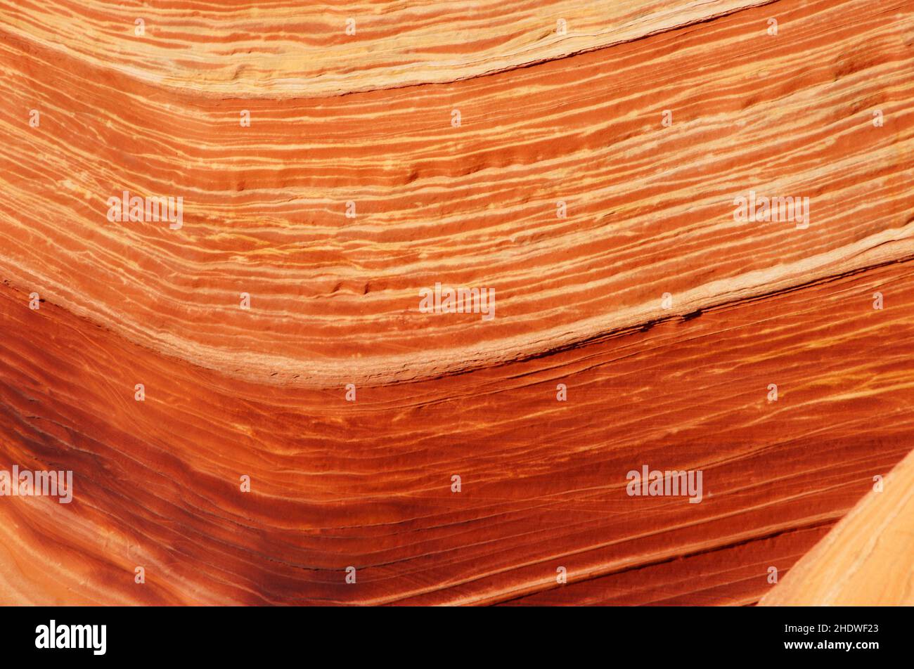 sandstone, sand dune, the wave, sandstones, sand dunes, the waves Stock ...