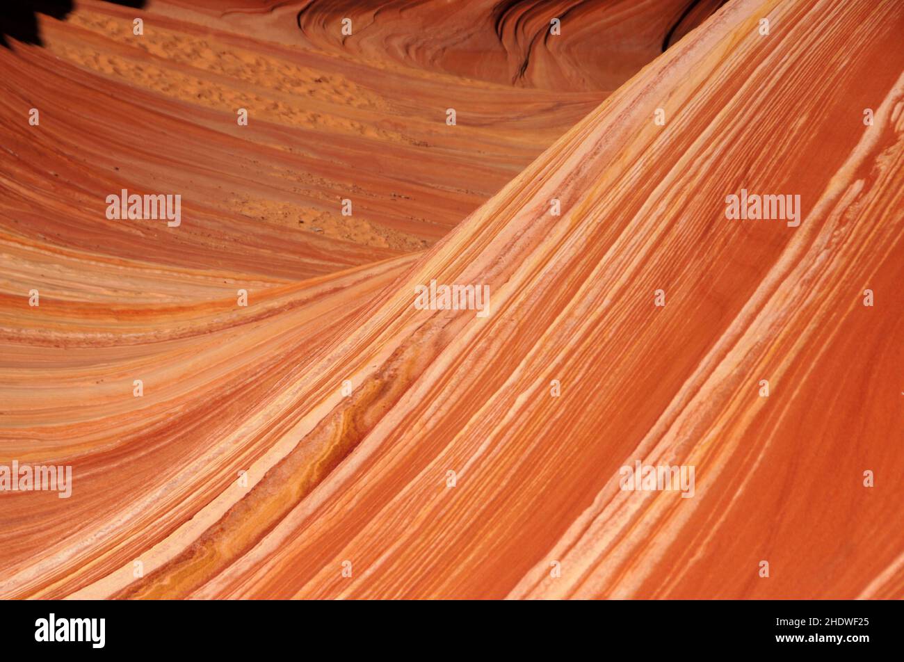 sandstone, rock formation, the wave, sandstones, rock formations, the ...