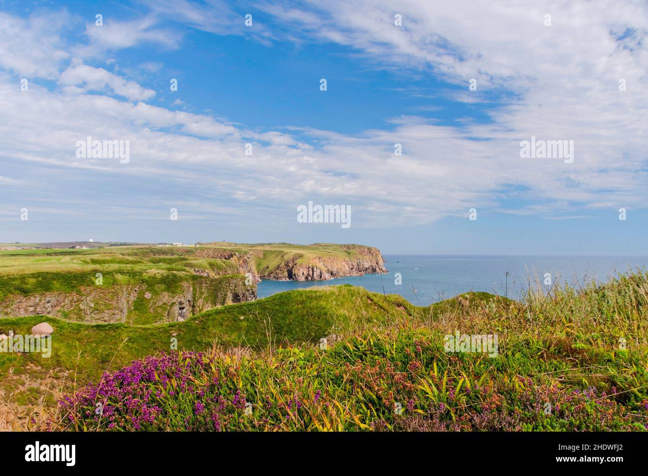 Bullers of buchan scotland hi-res stock photography and images - Alamy