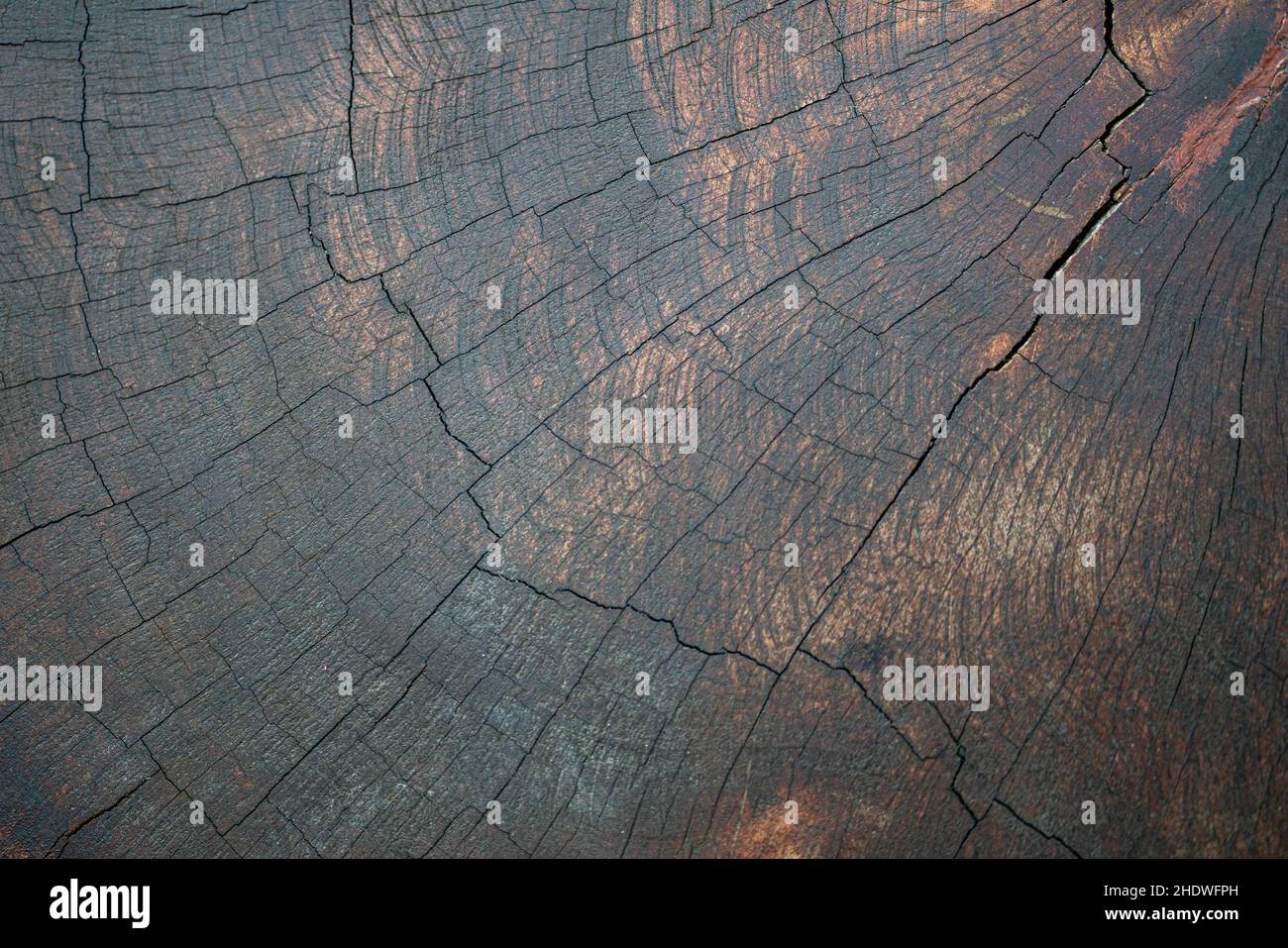 Natural wood texture background Stock Photo - Alamy