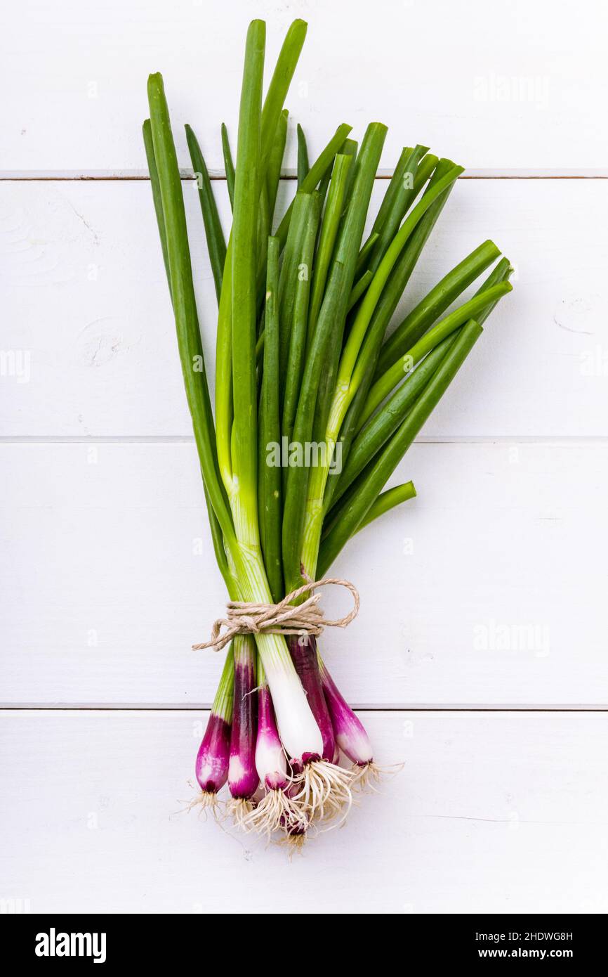 Bunch of leeks studio hi-res stock photography and images - Alamy
