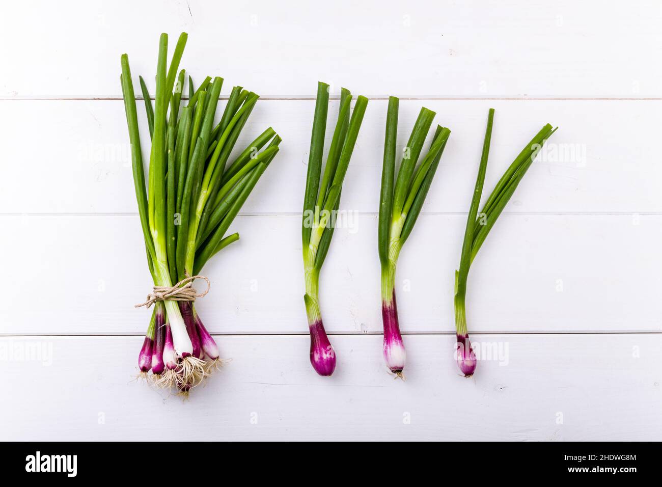 spring onion, spring onions Stock Photo - Alamy