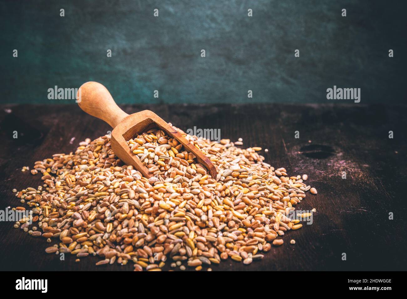 rye, cereal grains, ryes, cereal grain Stock Photo - Alamy