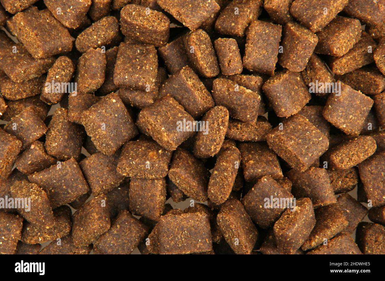 dog food, dog foods Stock Photo - Alamy