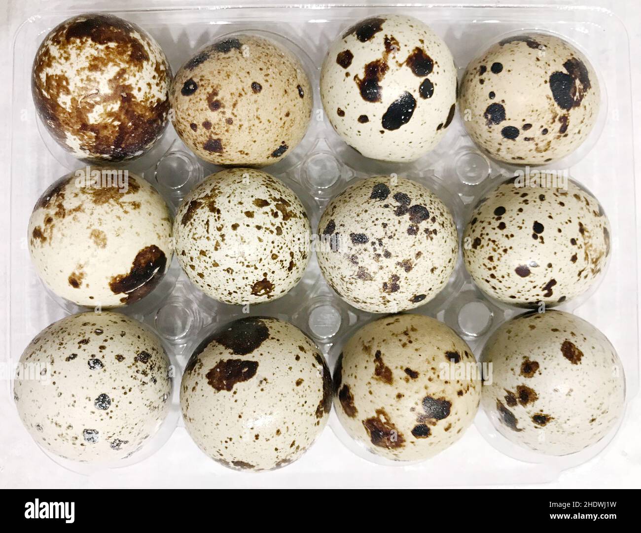 package, quail, egg box, packages, packing, quails, egg boxs, egg ...