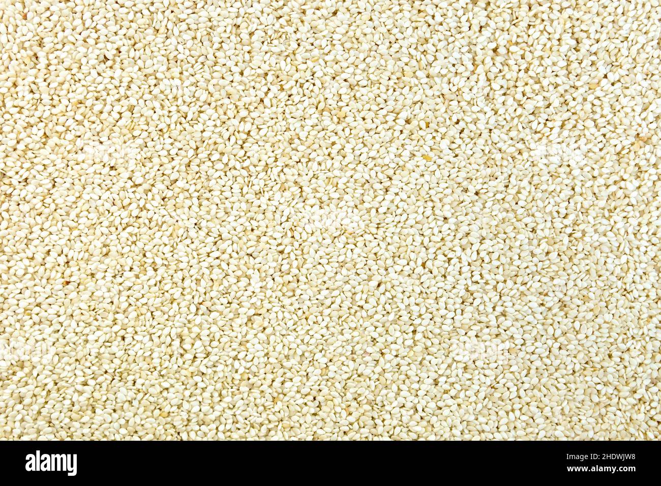 sesame seeds, sesame seed Stock Photo - Alamy