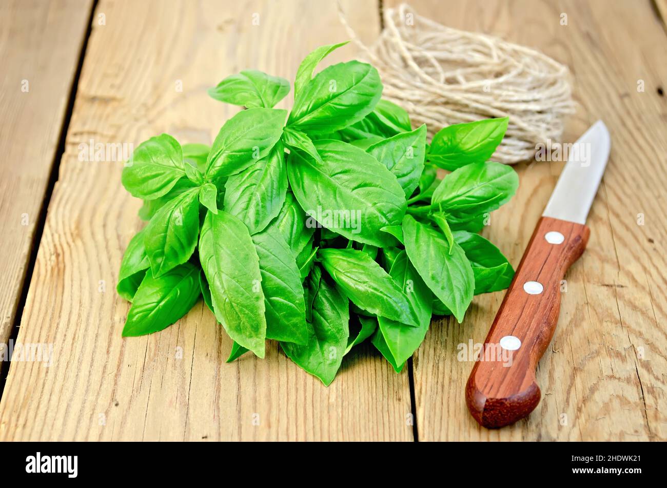 basil, spice, basils, spices Stock Photo - Alamy