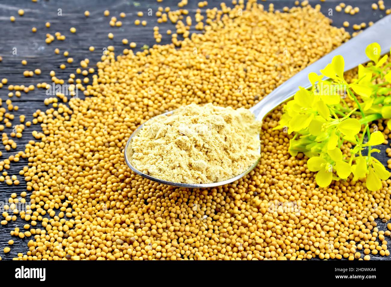 Mustards plant hi-res stock photography and images - Alamy