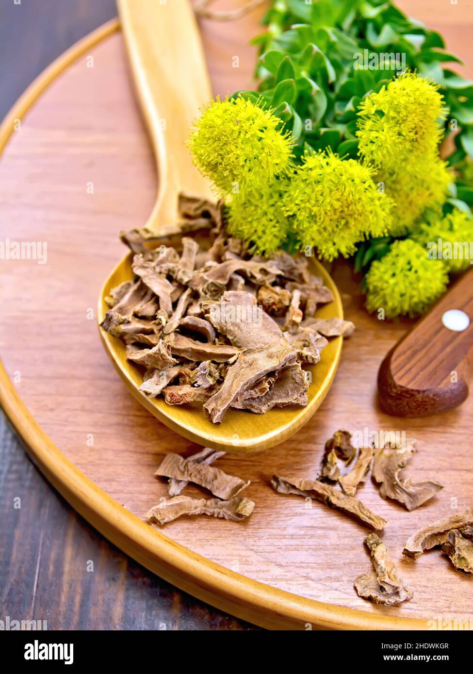 root, rose root, roots, aaron's rod, arctic root, golden root, king's ...