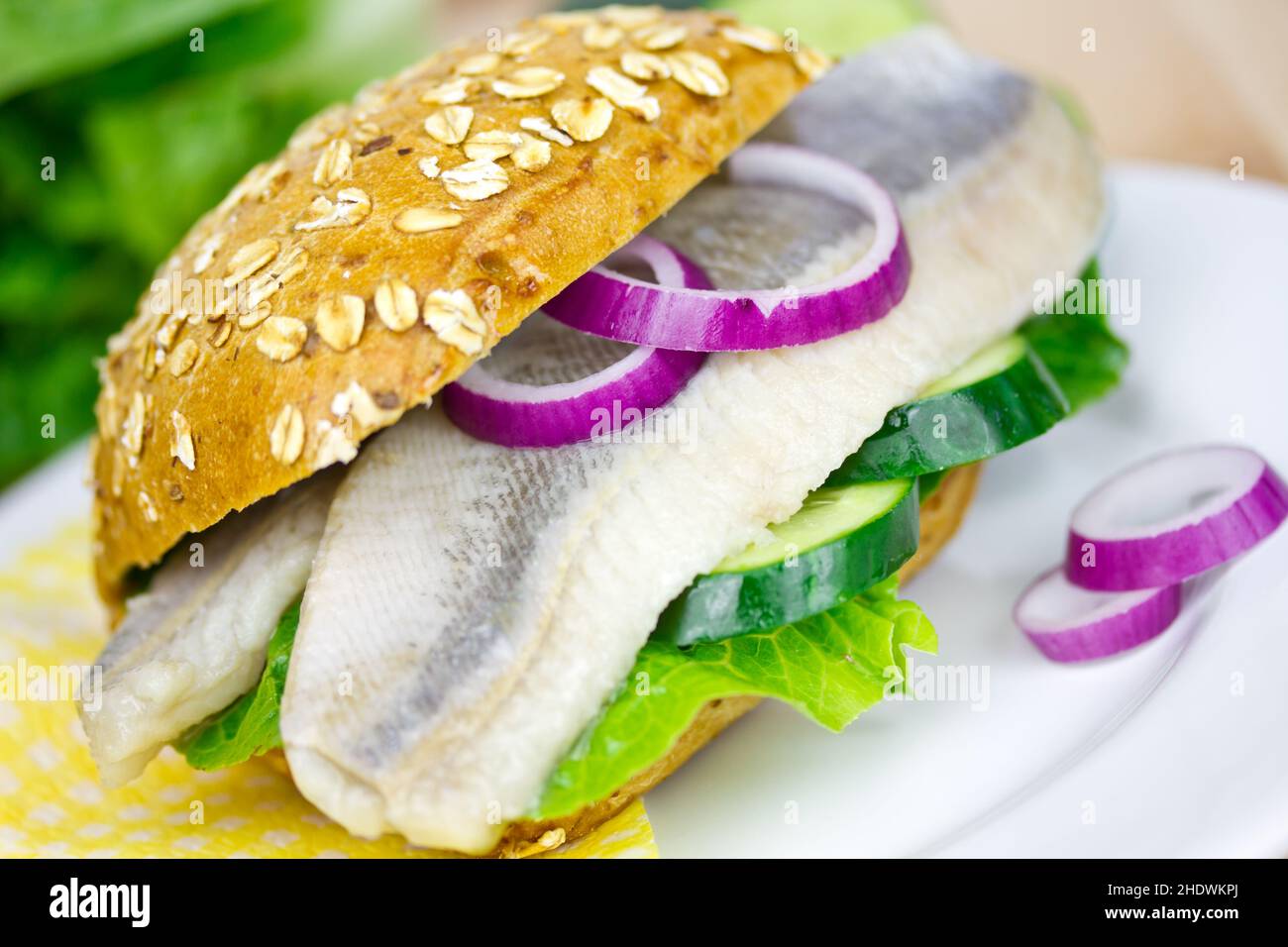 fish sandwich, matjes bun, fish sandwichs Stock Photo - Alamy