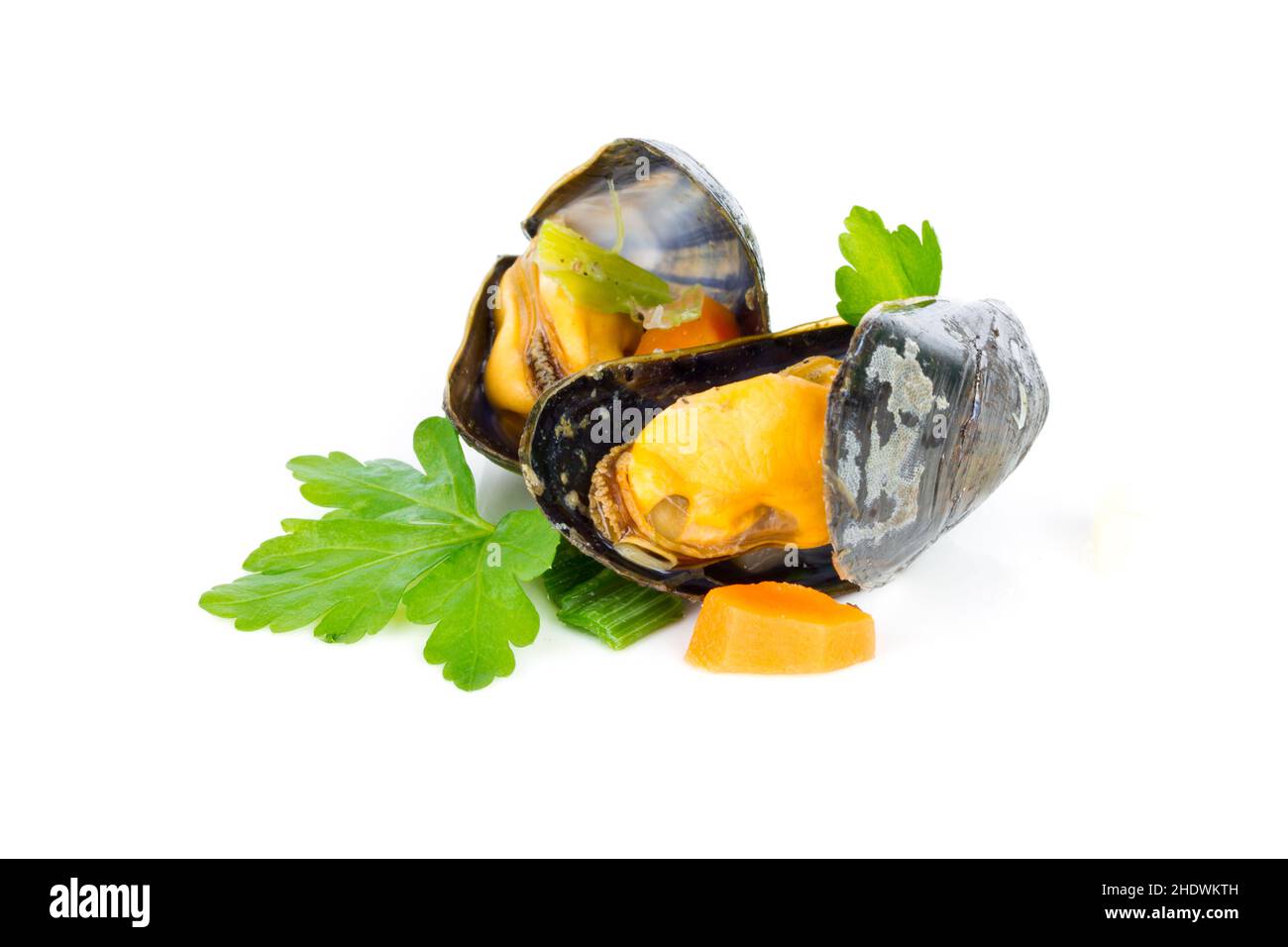 delicacy, mussel, clam, gourmets, mussels, clams Stock Photo - Alamy
