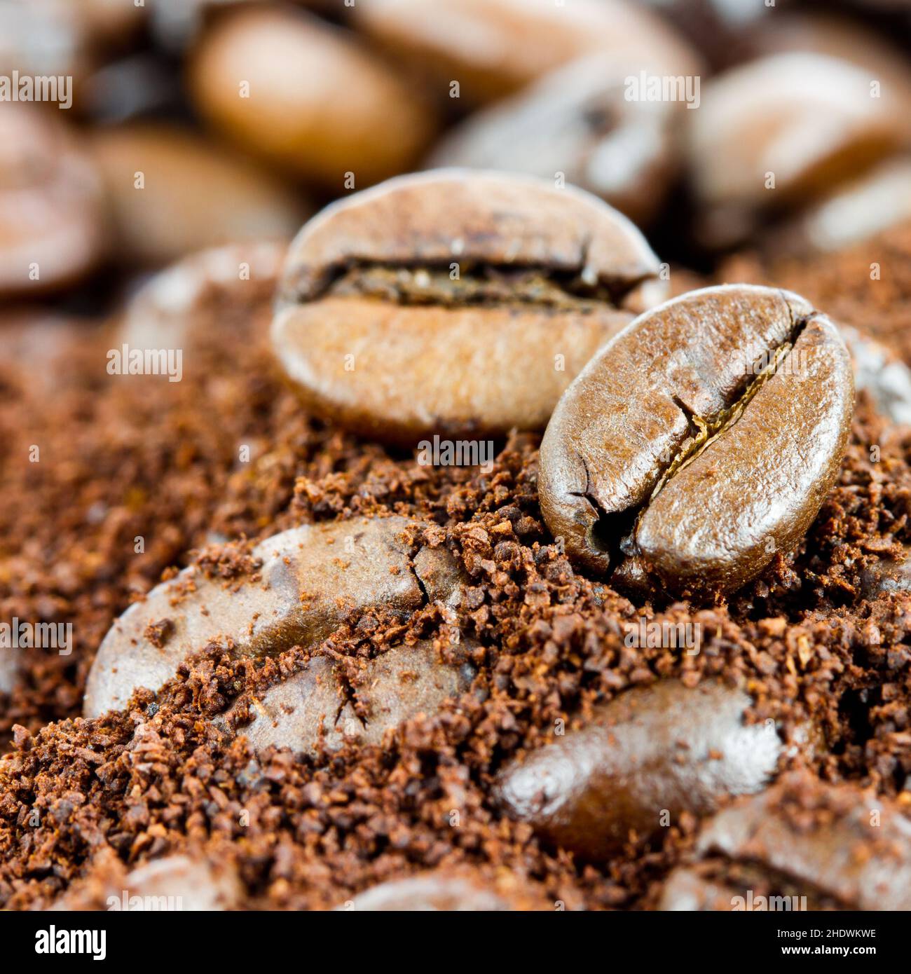 coffee bean, roasting, coffee powder, coffee beans, coffee powders ...