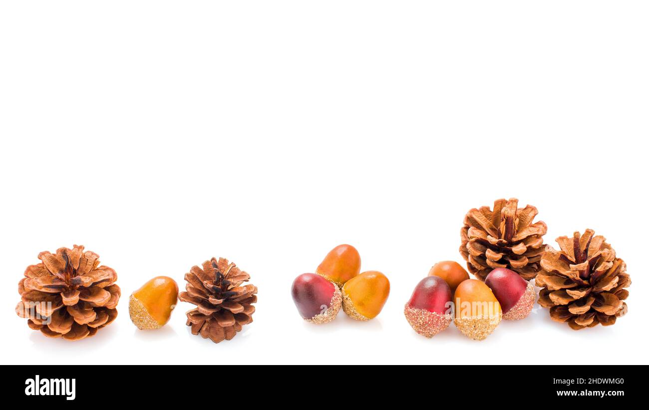 In autumn pine cones Cut Out Stock Images & Pictures - Alamy