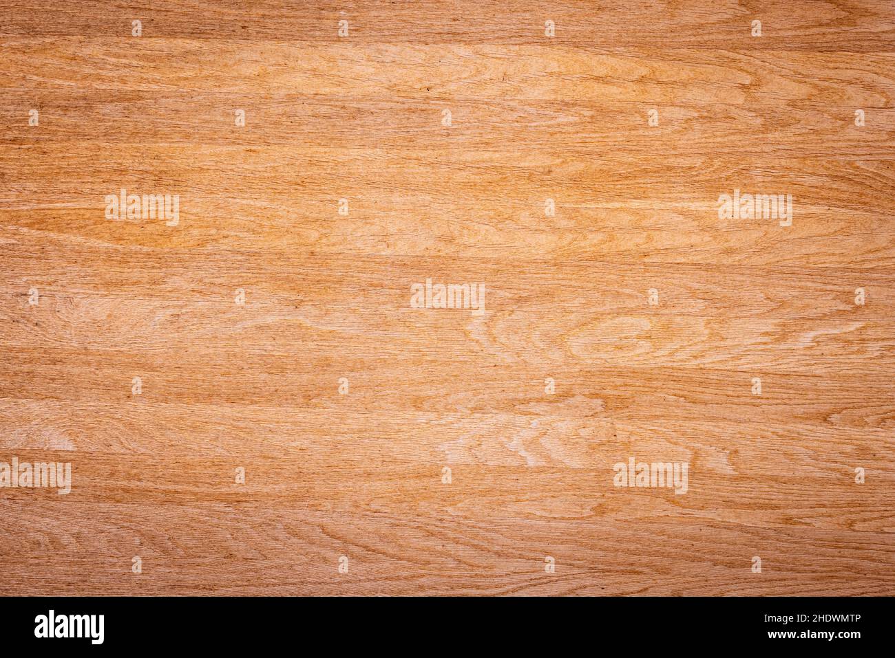 wooden wall, wood grain, wood area, wooden walls, wood grains, woodland ...