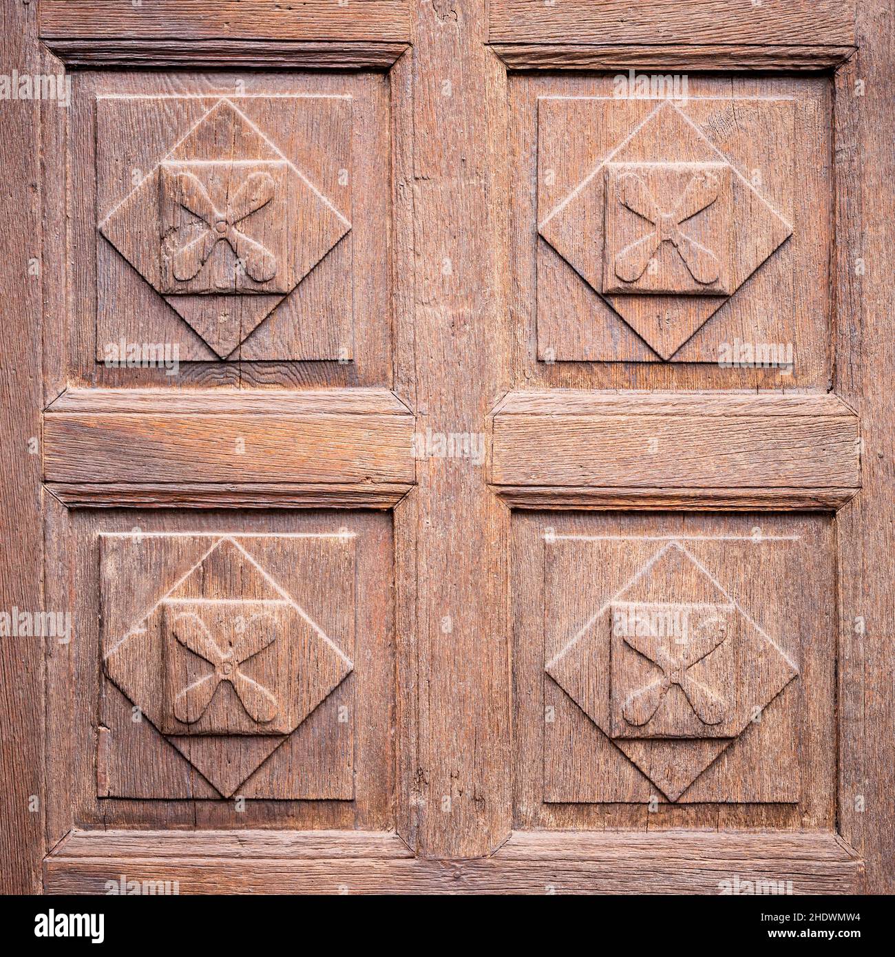 pattern, wood, structure, patterns, woodland, woodlands, woods ...