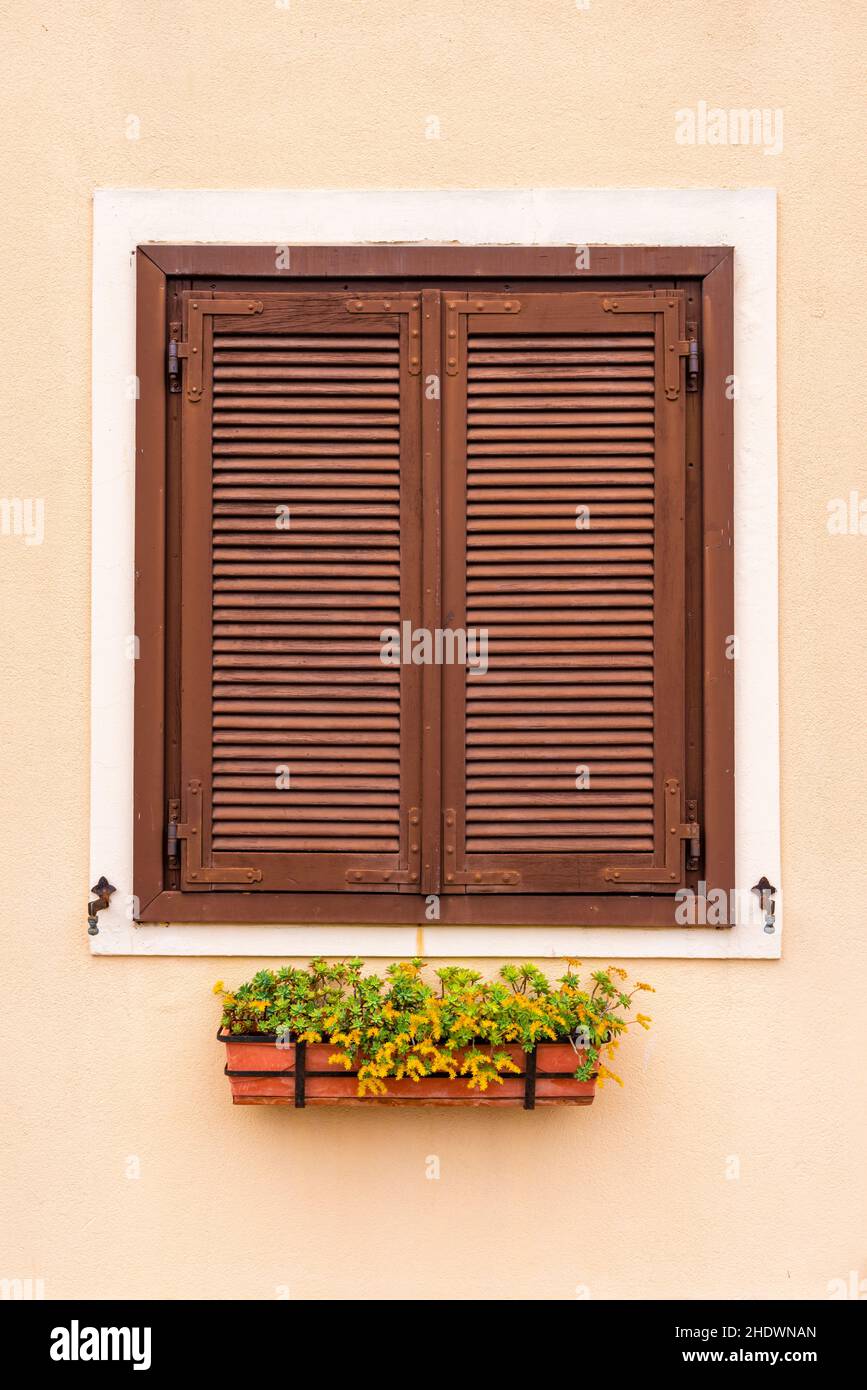 window shutter, planting, window shutters Stock Photo - Alamy