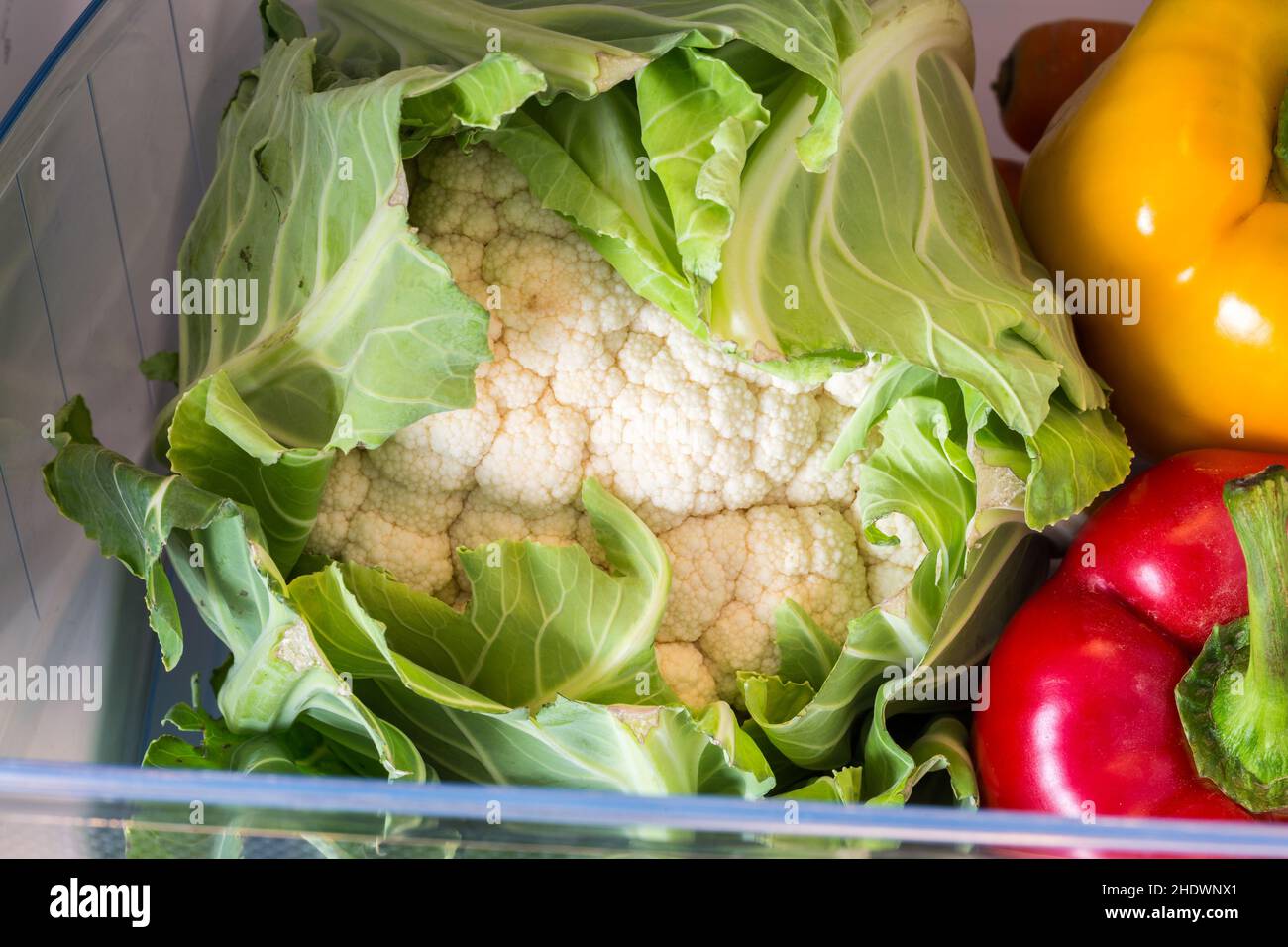 cauliflower, vegetable cooler, cauliflowers Stock Photo - Alamy