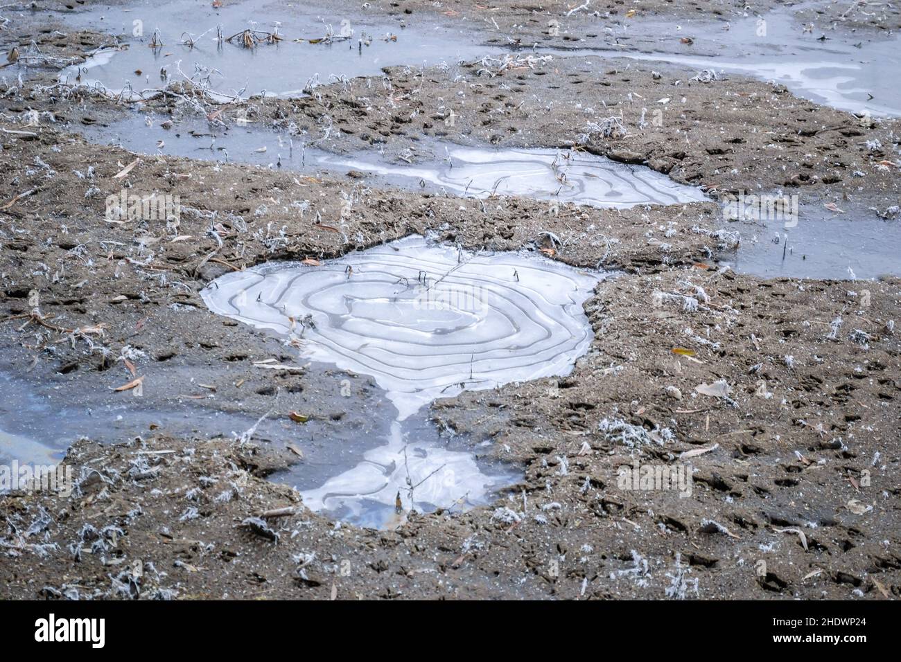 Frozen puddle of water on frozen ground Stock Photo - Alamy