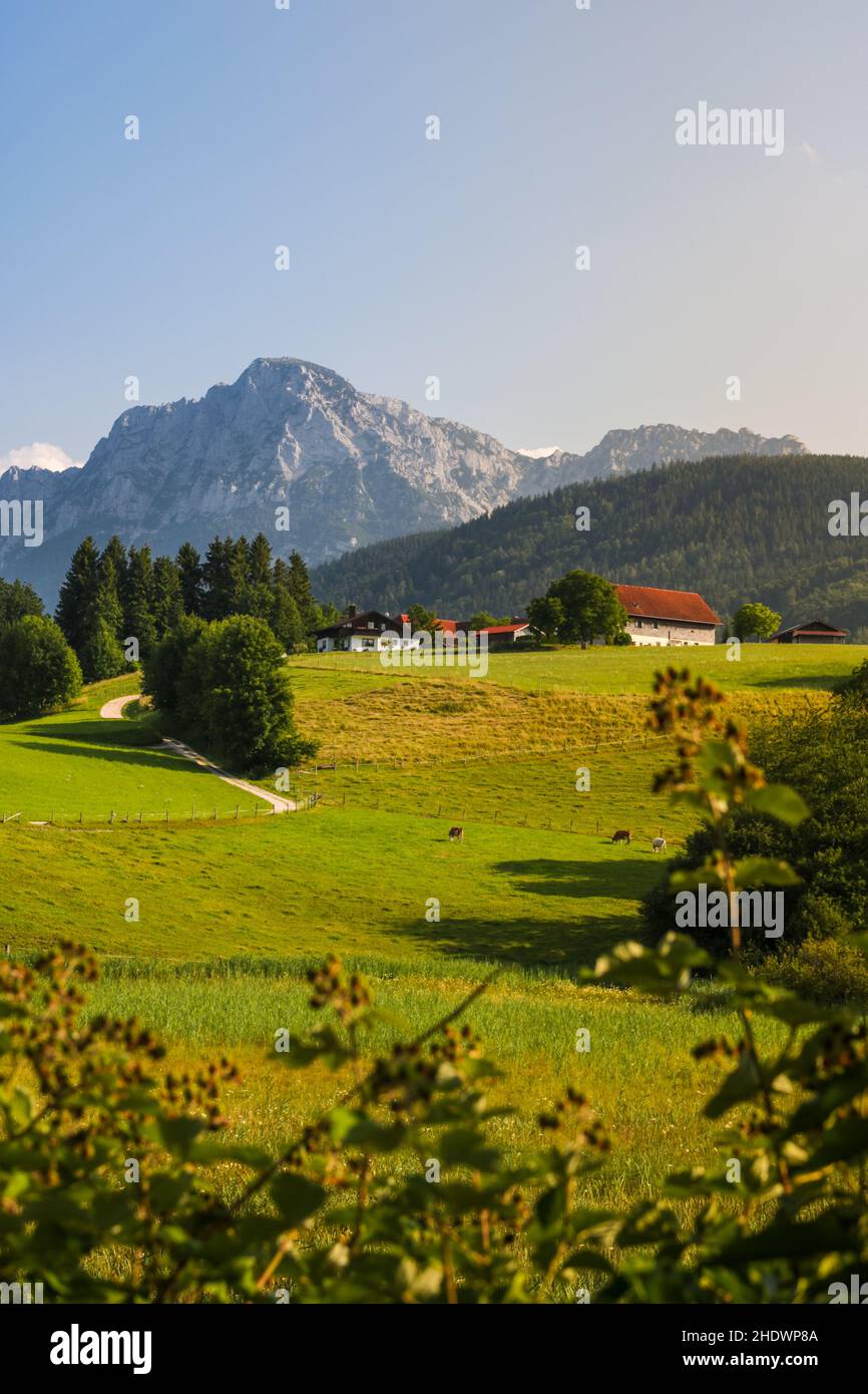 Vertical shot of beautiful countryside with Alps mountains in the back ...