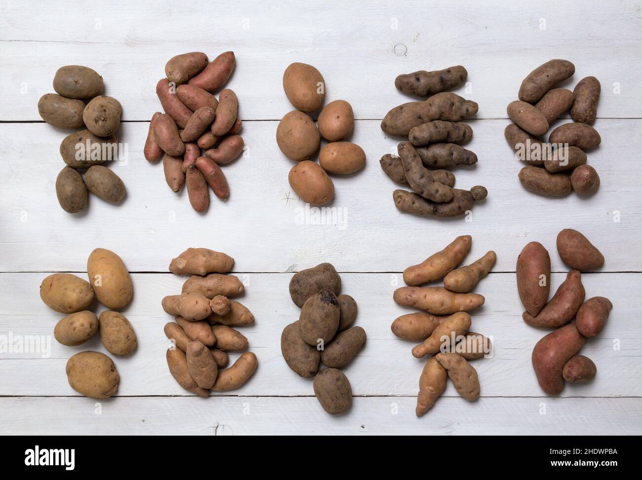 Varieties variations hi-res stock photography and images - Alamy