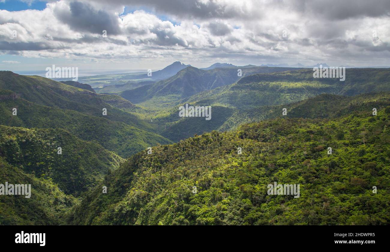national park, rainforest, mauritius, black river georges national park ...
