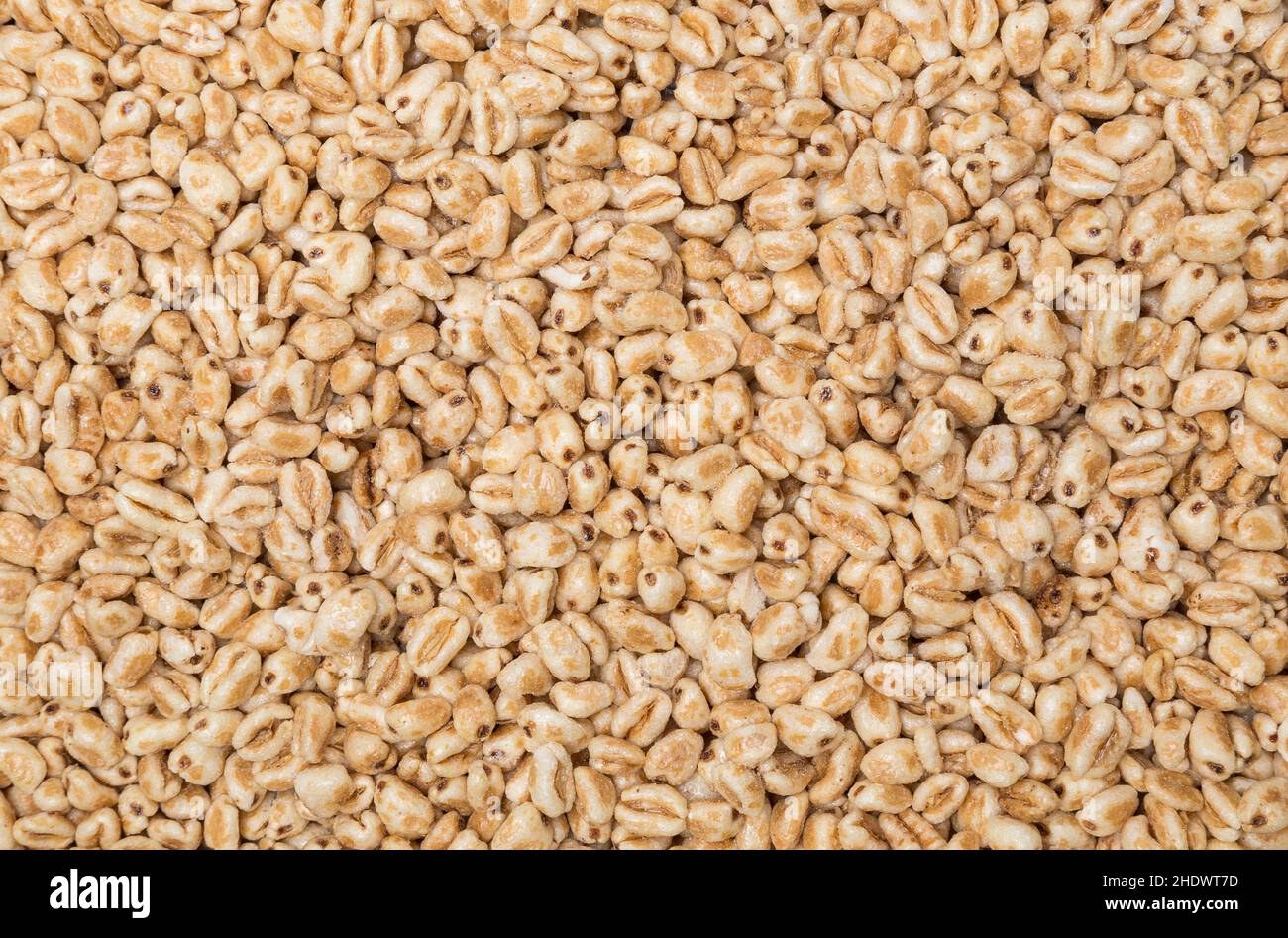 wheat, cereal, breakfast cereal, puffed, wheats, cereals Stock Photo ...