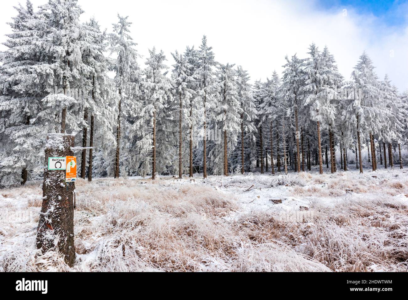 Beautiful winter landscape on the heights of the Thuringian Forest near ...