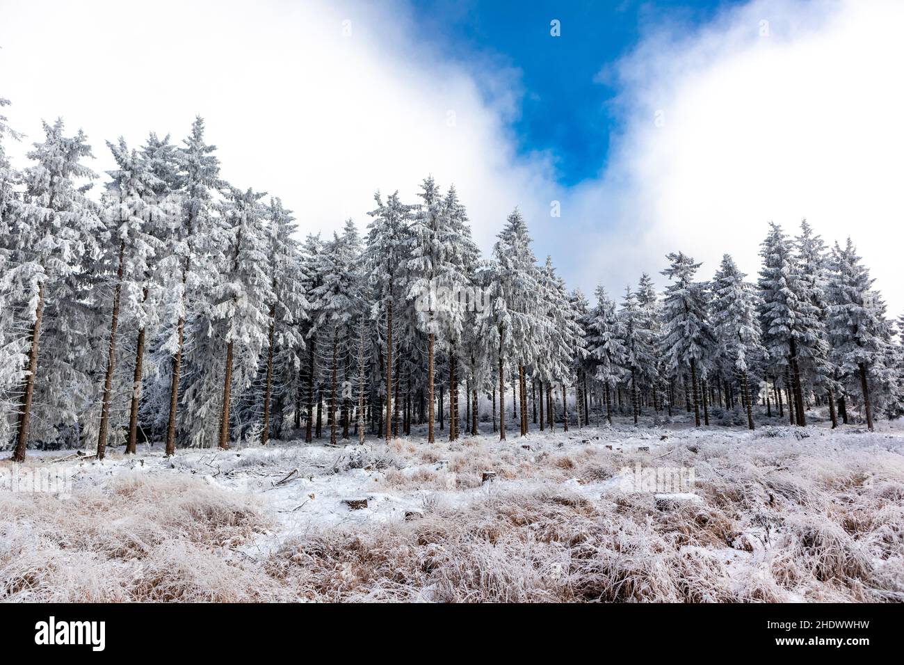 Oberhof background hi-res stock photography and images - Alamy