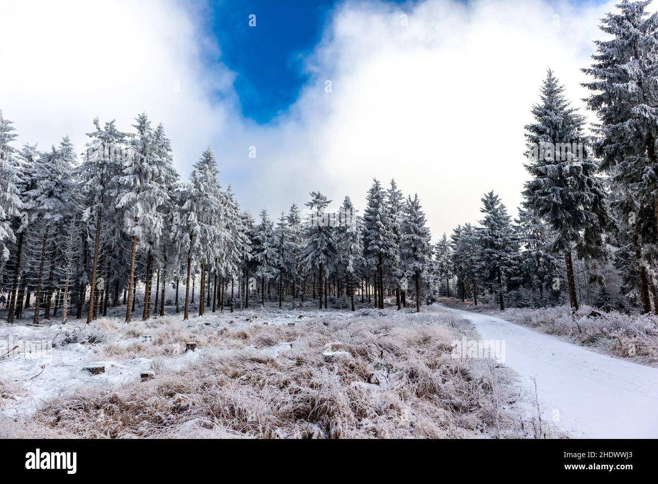 Beautiful winter landscape on the heights of the Thuringian Forest near ...