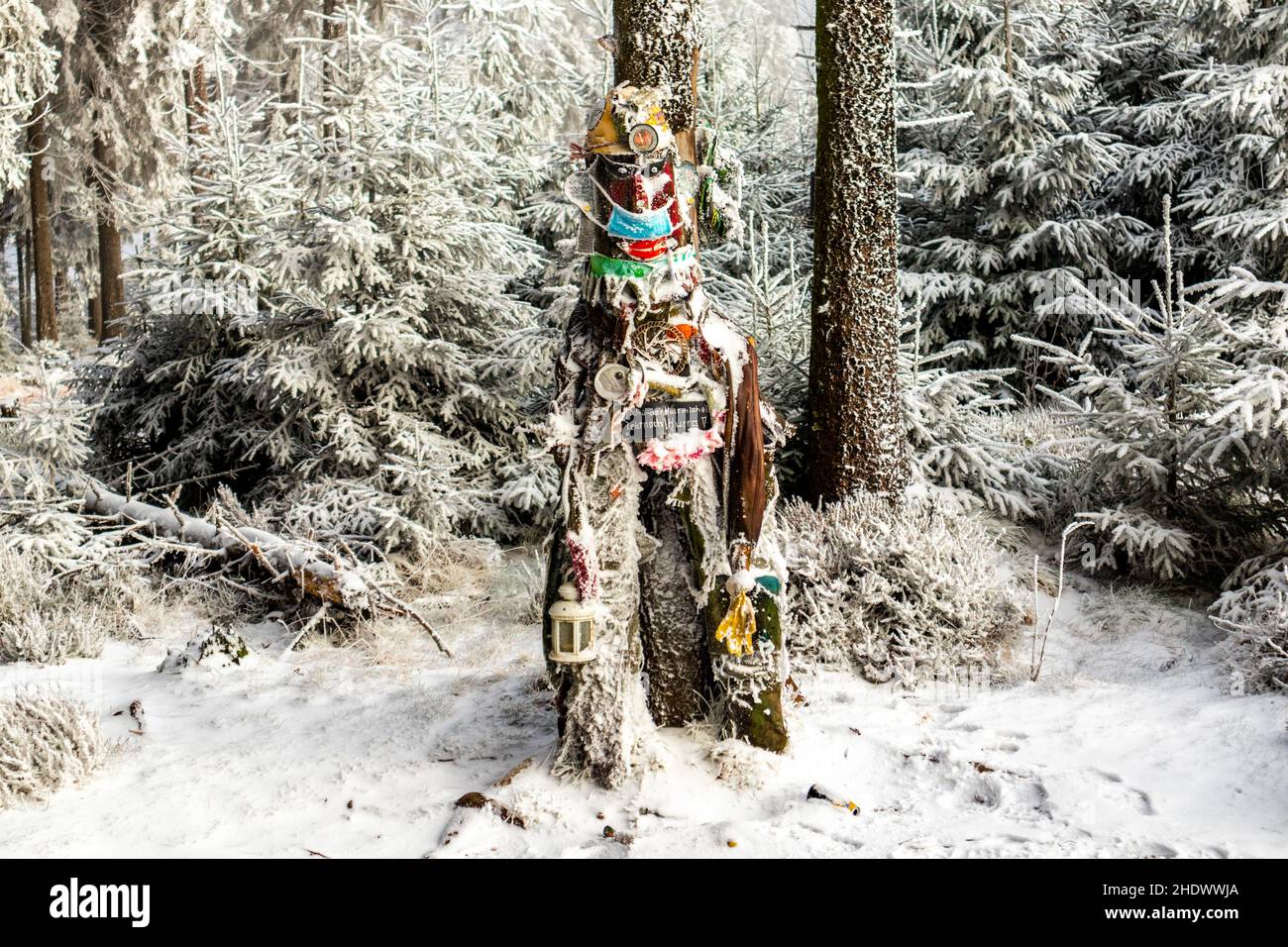 Decorated tree on the heights of the Thuringian Forest near Oberhof ...