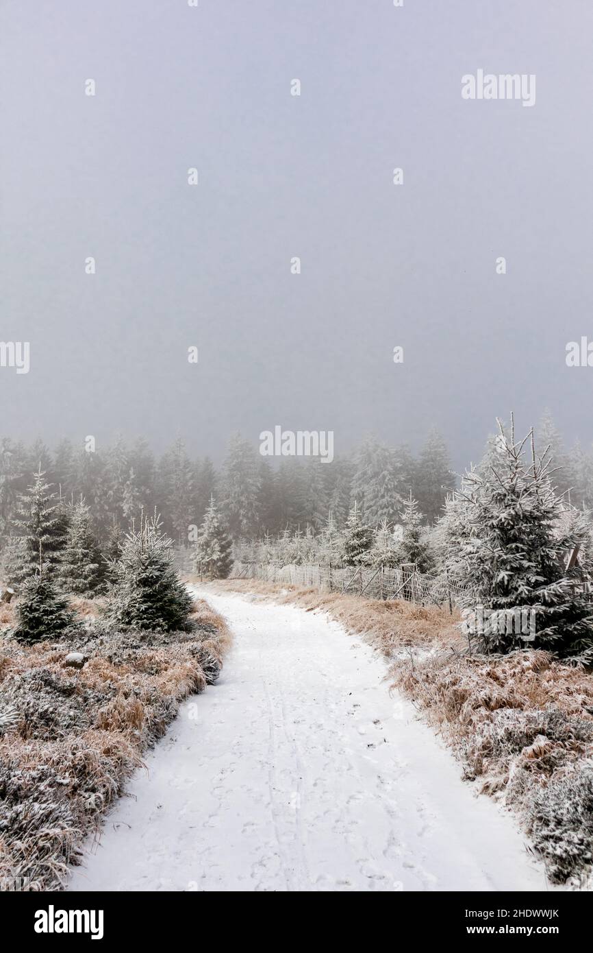 Beautiful winter landscape on the heights of the Thuringian Forest near ...