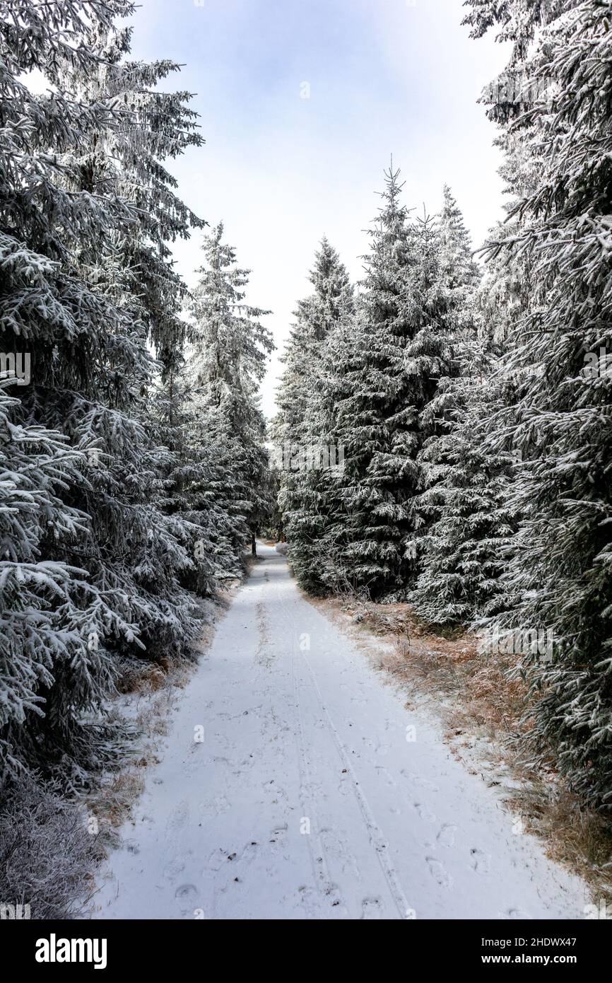 Beautiful winter landscape on the heights of the Thuringian Forest near ...