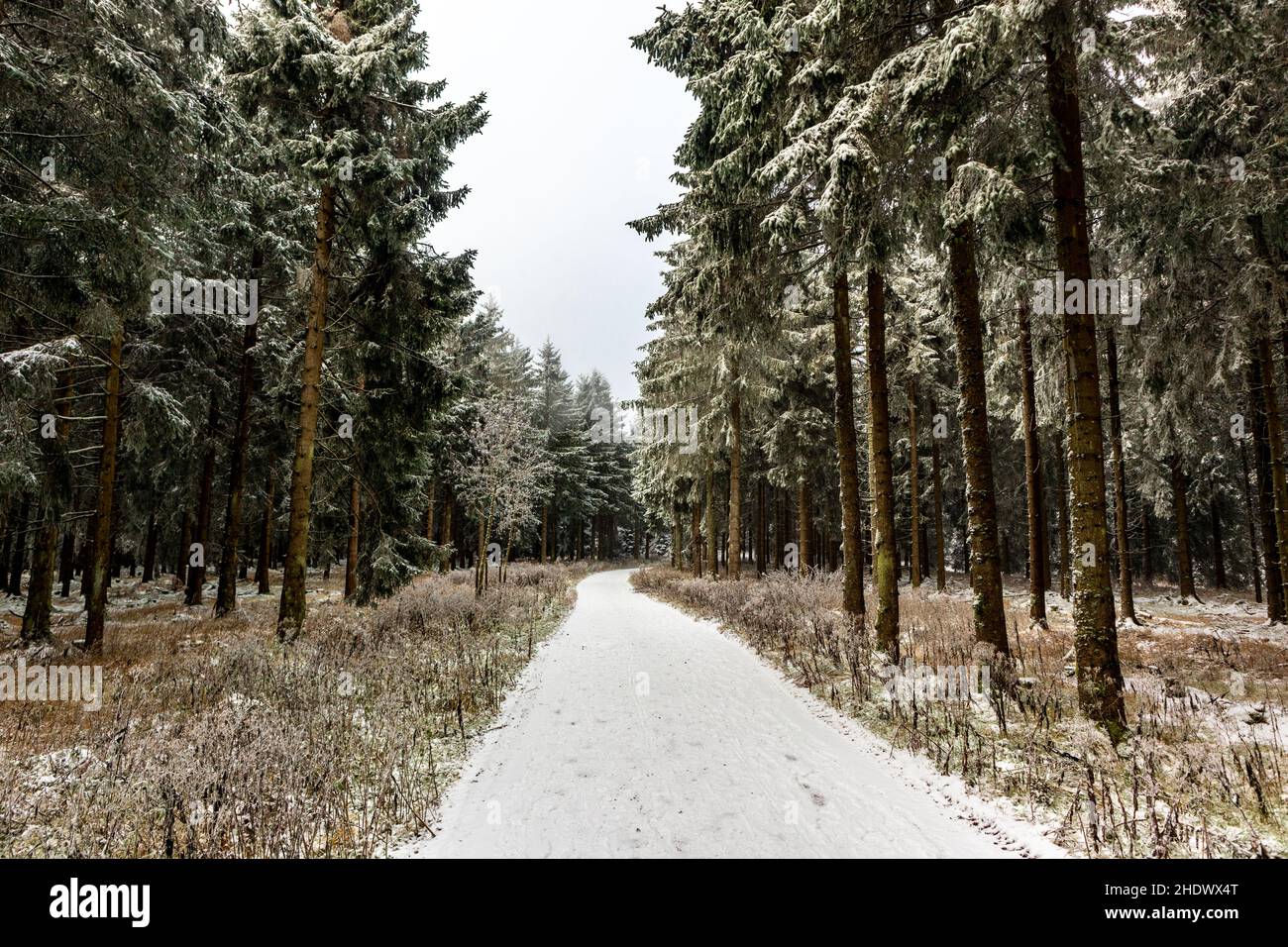 Beautiful winter landscape on the heights of the Thuringian Forest near ...
